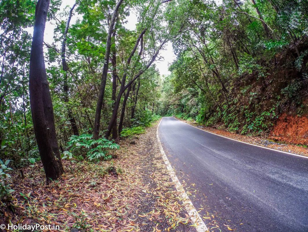 Take a Road Trip to Chorla Ghat in Goa during Monsoon